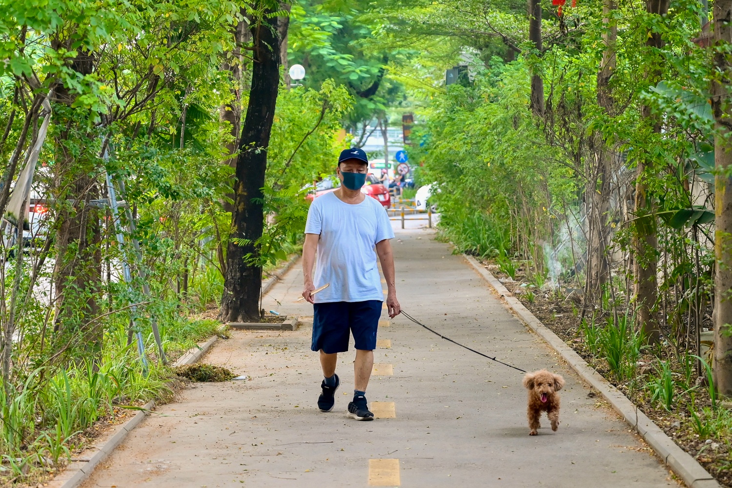 Cảnh Nhếch Nhác Trên Những Tuyến đường Dành Cho Người đi Bộ ở Hà Nội Xã Hội Znewsvn