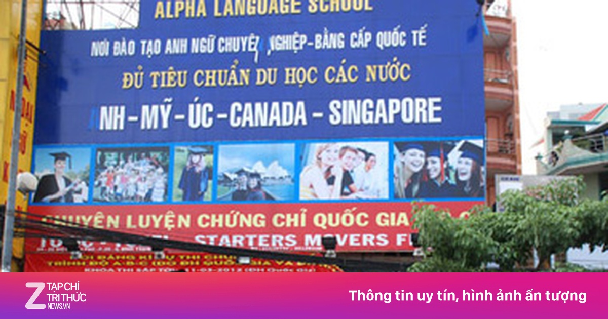 Hỗ trợ học viên Trung tâm Alpha tìm chỗ học mới - Giáo dục - ZNEWS.VN