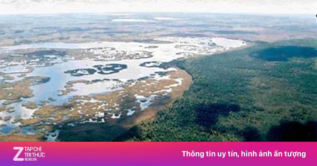 9 quốc gia rộng nhất thế giới không có núi | Znews.vn