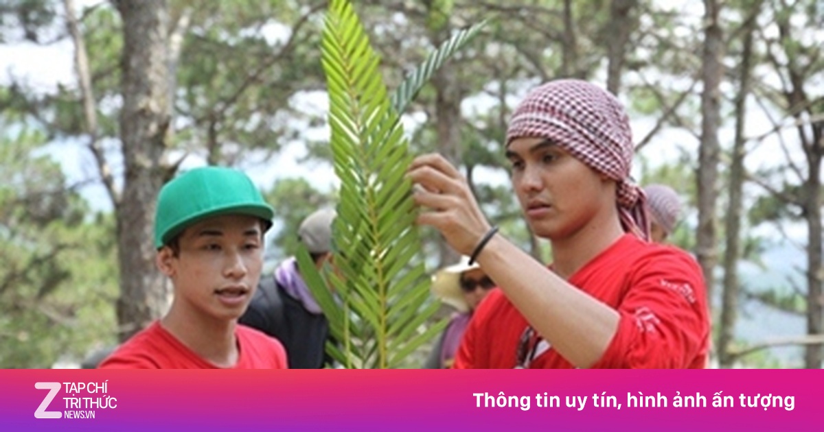 Hot boy Baggio thu lợi nhờ tài... ăn nói - Phim truyền hình - ZNEWS.VN