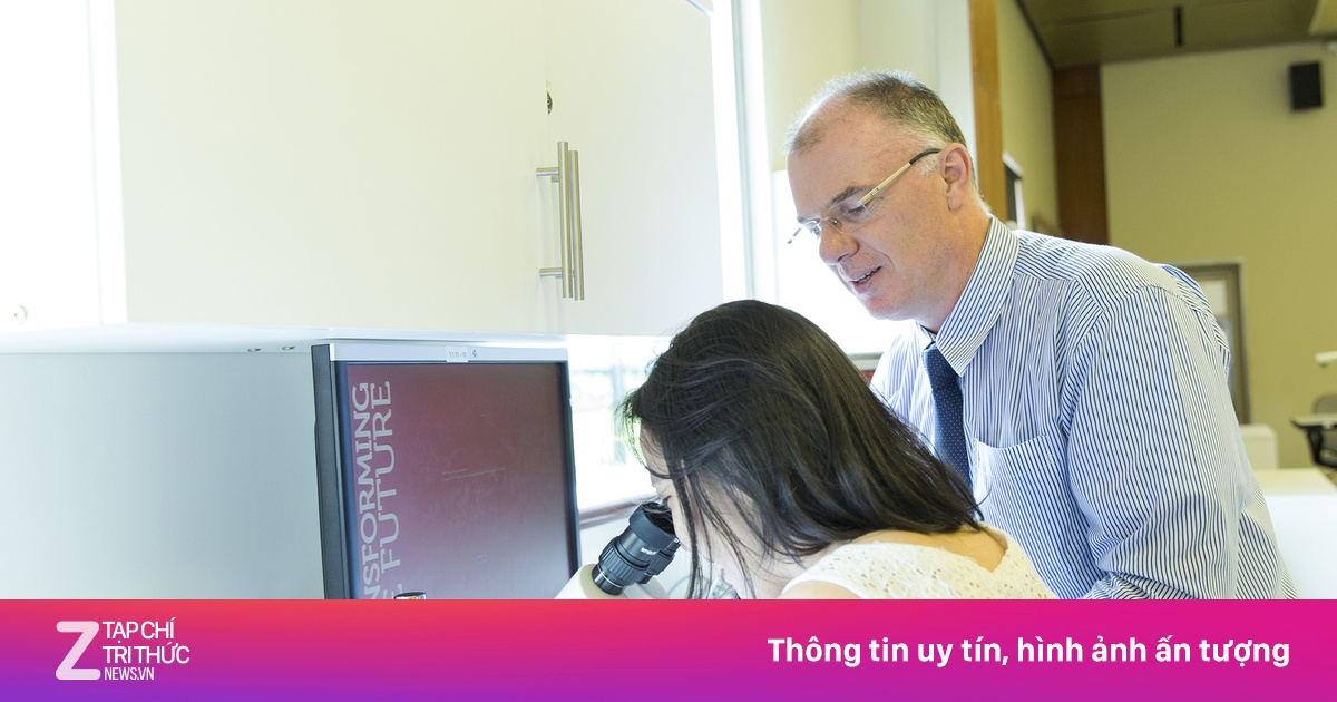 ĐH RMIT mở ngành đào tạo nhà kiến tạo tương lai - Đời sống - ZNEWS.VN