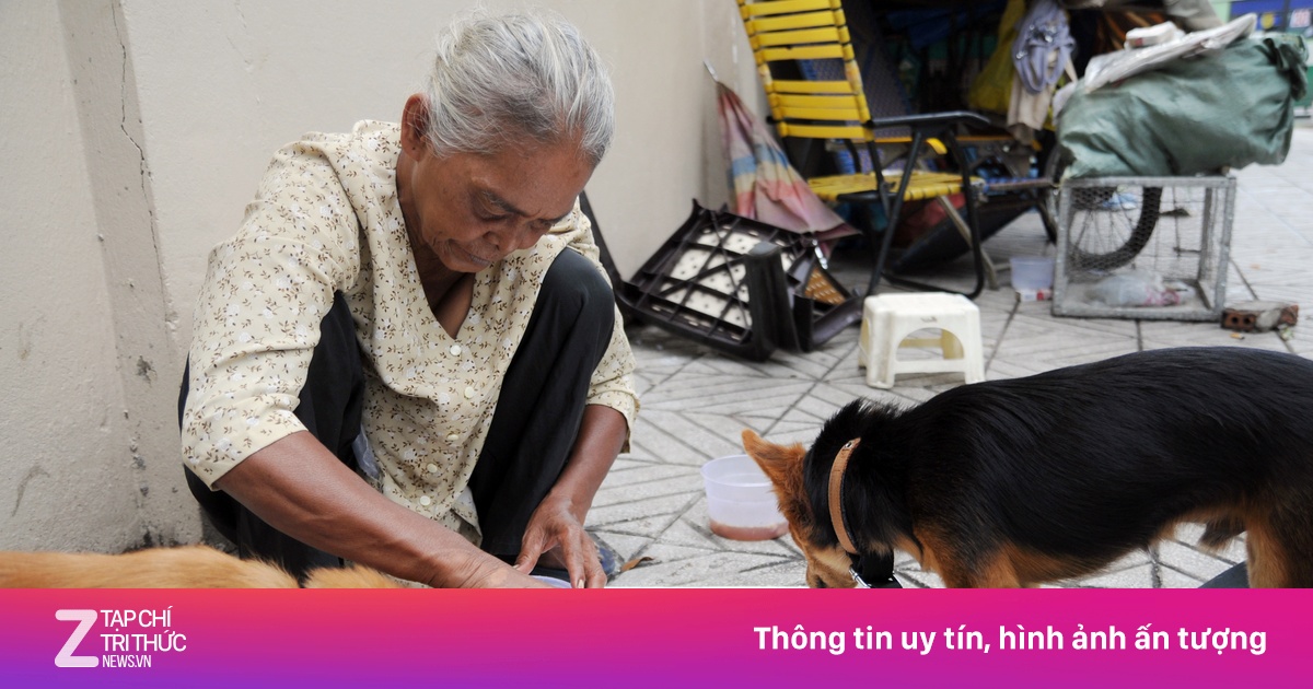 Cụ bà 70 mưu sinh cùng 2 người bạn nhỏ trên vỉa hè Sài Gòn - Ảnh ...