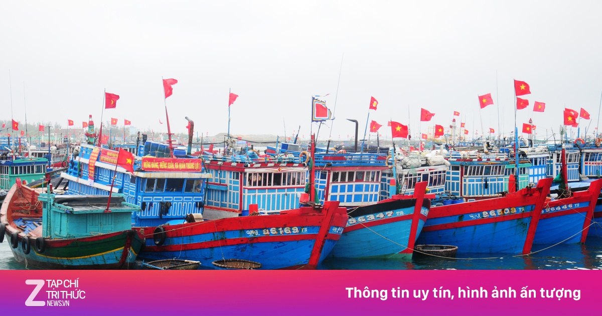 Hàng nghìn ngư dân Quảng Ngãi tạm hoãn chuyến biển đầu năm - Xã hội ...