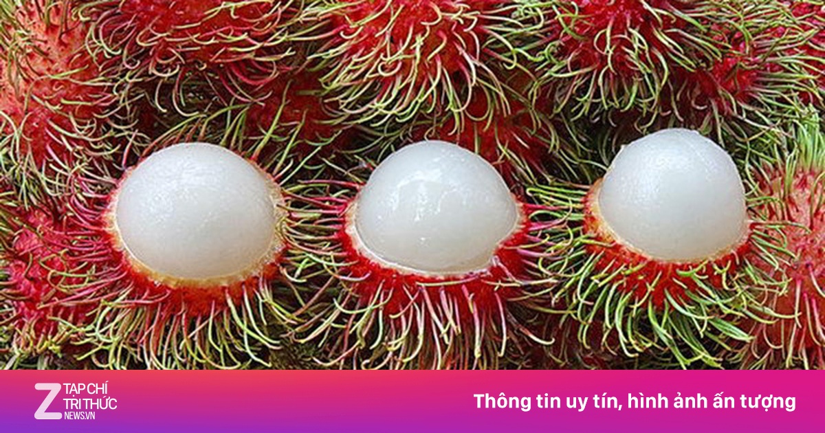 Xuất khẩu nhãn, chôm chôm sang Mỹ sắp trở lại bình thường - Tiêu dùng ...