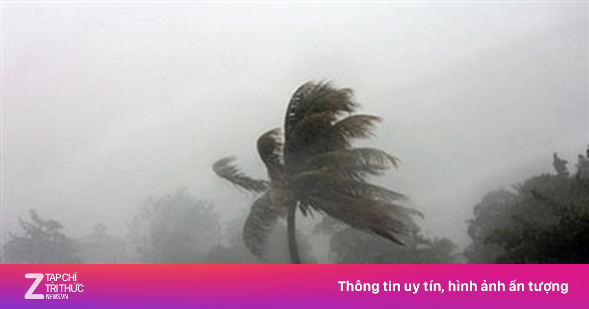 Quảng Ninh, Hải Phòng chủ động ứng phó siêu bão Utor - Xã hội - ZNEWS.VN