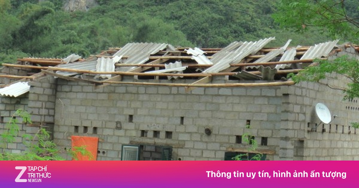 Một gia đình có 2 con bị sét đánh chết ở Hà Giang - Xã hội - ZNEWS.VN