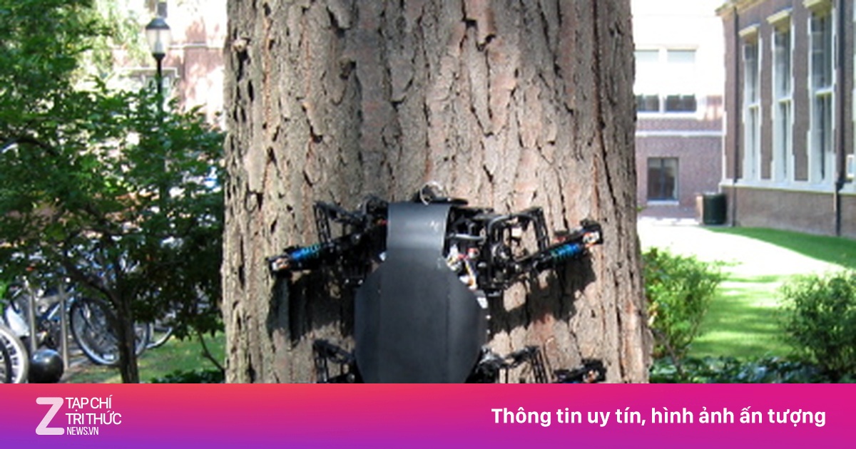 Robot leo tường, trèo cây hình dáng như con bọ | Znews.vn