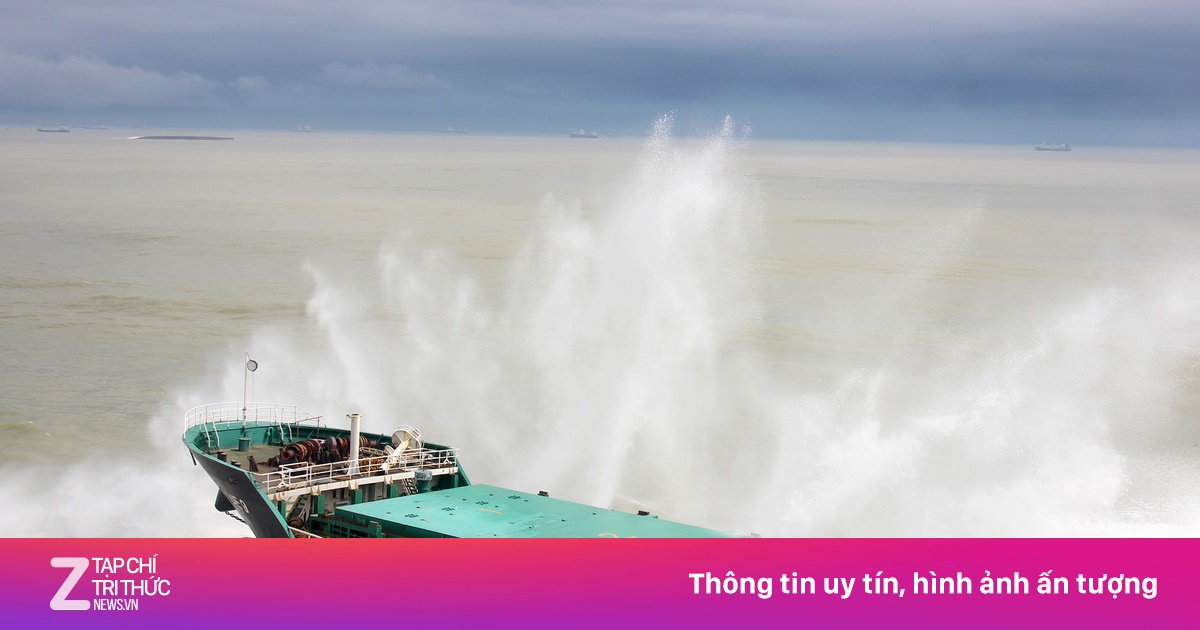 Còn nhiều người mất tích trong sự cố chìm tàu ở Quy Nhơn - Xã hội ...