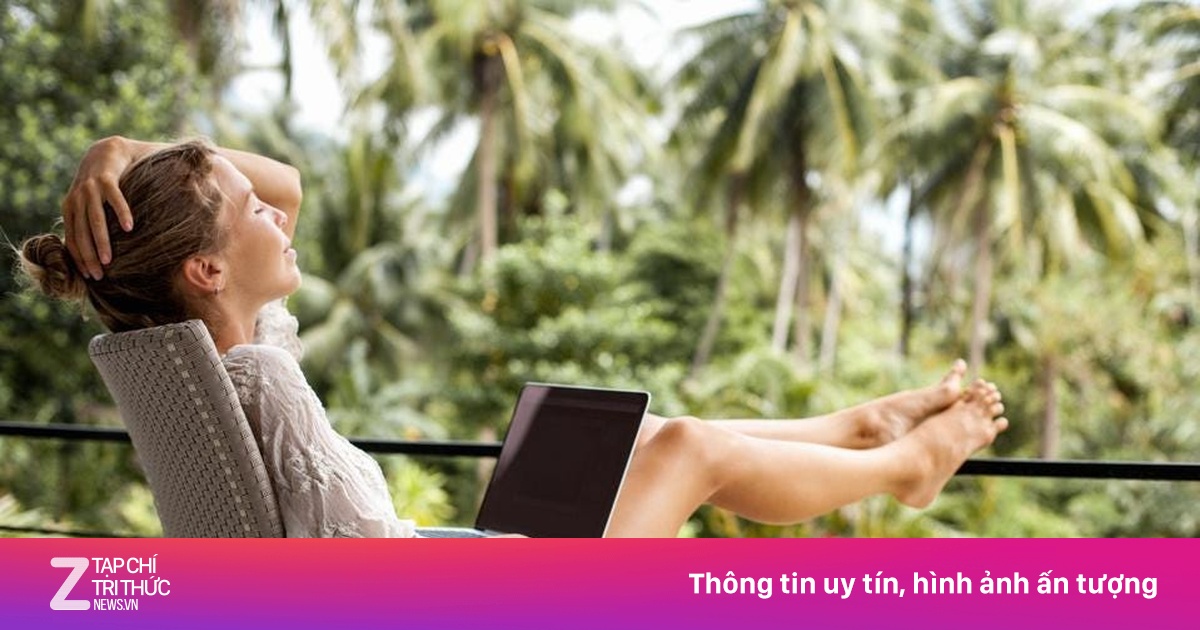 Bị chỉ trích vì bỏ 300 SGD để thuê chỗ ngồi làm việc ở Bali - Đời sống ...