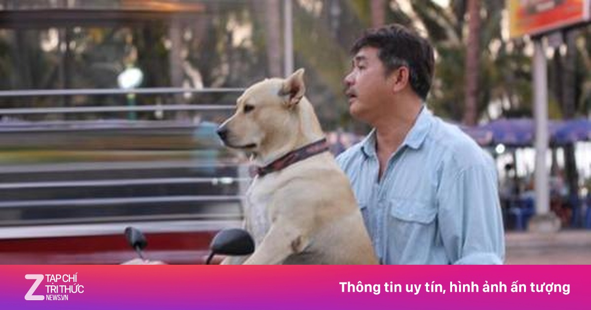 Chó đèo người, trẻ con chê vú mẹ - Cười - ZNEWS.VN