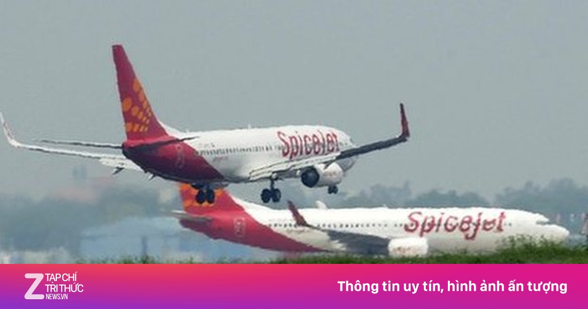 Máy bay dừng cất cánh vì bị trâu húc - Thế giới - ZNEWS.VN