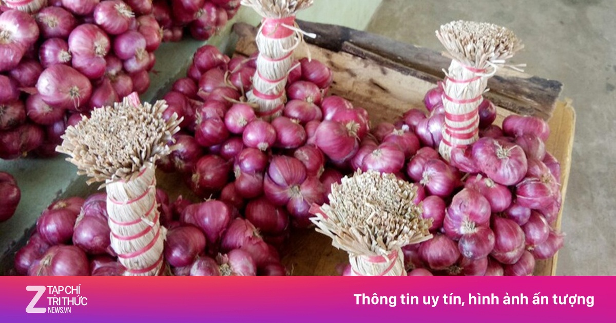 Gần 50 tấn hành tím Sóc Trăng được 'giải cứu' - Tiêu dùng - ZNEWS.VN