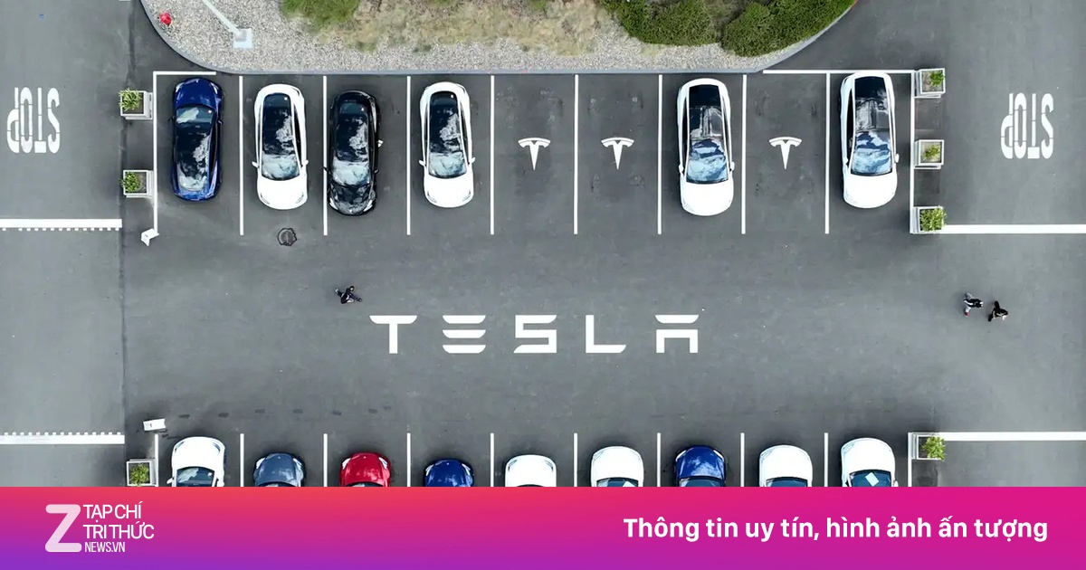 Tesla có thể bị phạt hơn 3 tỷ USD vì làm lộ thông tin khách hàng | Znews.vn