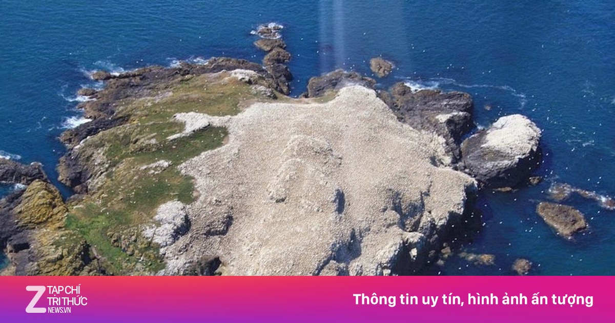 Đảo phân chim ở châu Âu - Khám phá - ZNEWS.VN