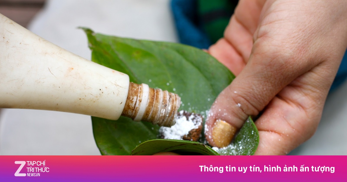 Tài xế ngất vì hành khách nhai trầu trên xe buýt - Chuyện lạ - ZNEWS.VN