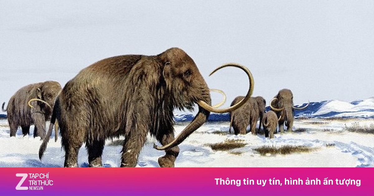 Voi ma mút có thể hồi sinh nhờ công nghệ gene - Thế giới - ZNEWS.VN