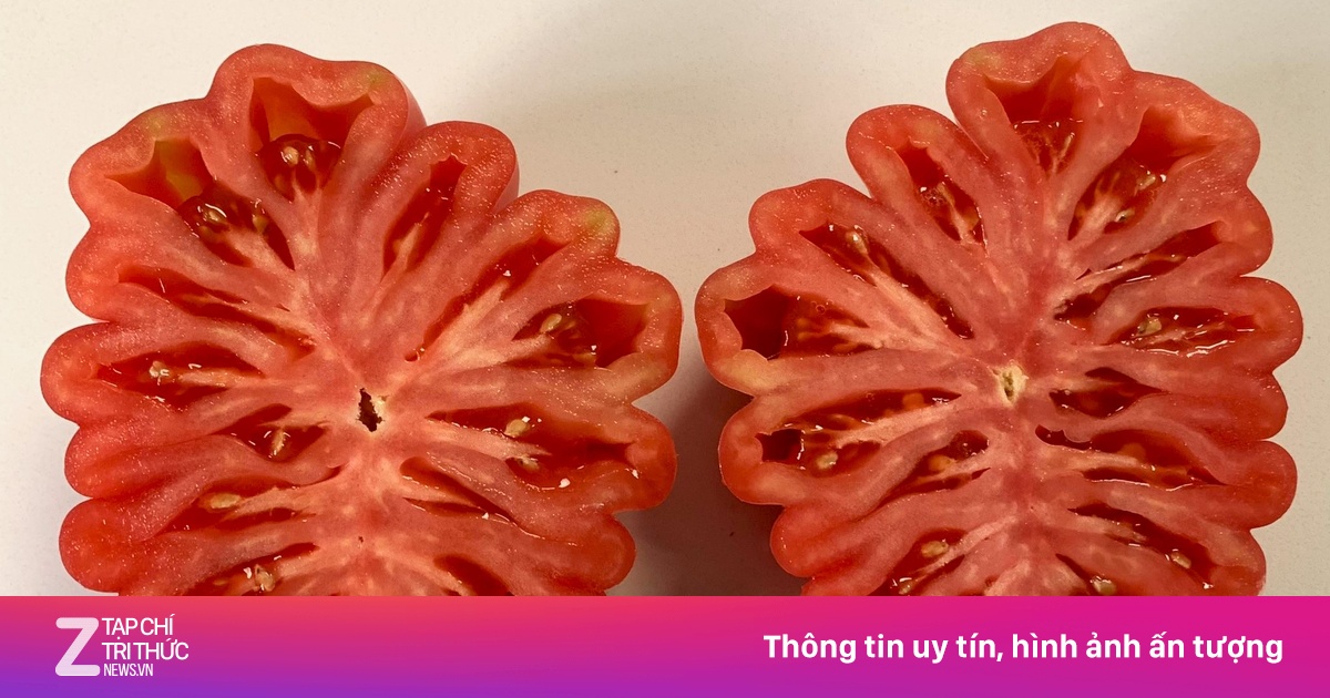 Chiếc túi cà chua chế từ meme của Loewe - Lifestyle - ZNEWS.VN