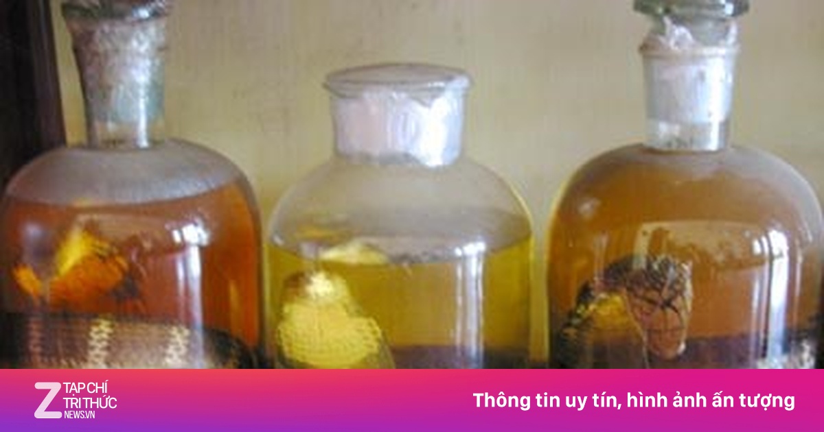 Uống rượu rắn ngày Tết, liệt dương suốt đời - Sức khỏe - ZNEWS.VN