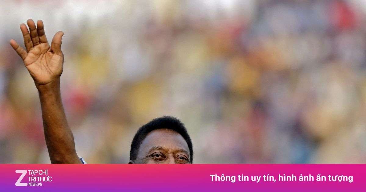 Pele trở thành biểu tượng trên Internet vì 'đoán toàn sai' | Znews.vn