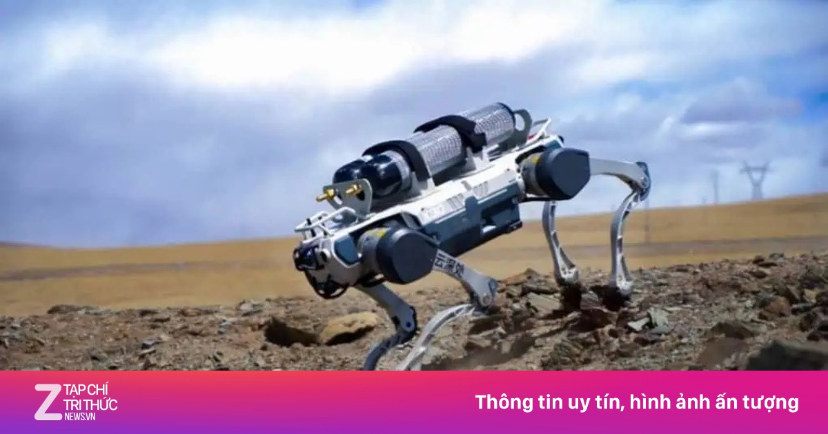 Robot chó xuất hiện dày đặc ở Singapore | Znews.vn