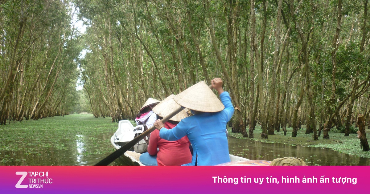 Hào hứng đi trên dòng sông bèo ở rừng tràm Trà Sư - Phượt - ZNEWS.VN