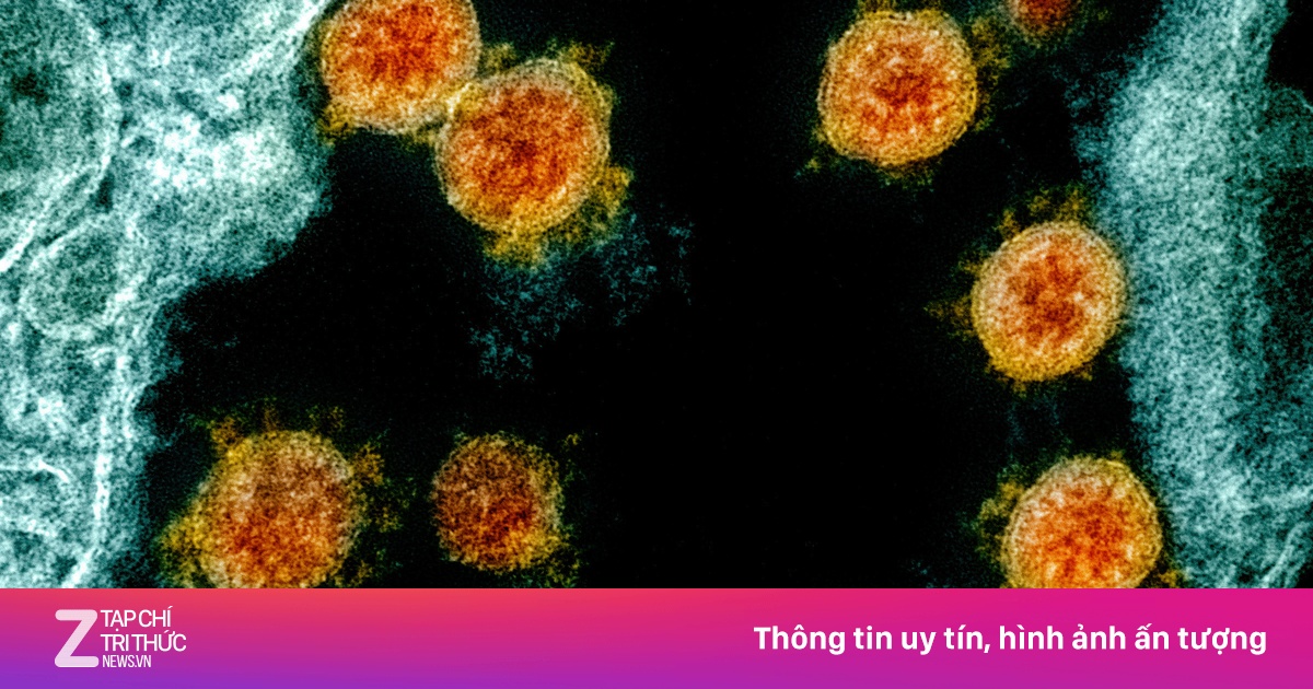 Vaccine của Pfizer hoạt động như thế nào? - Thế giới - ZNEWS.VN