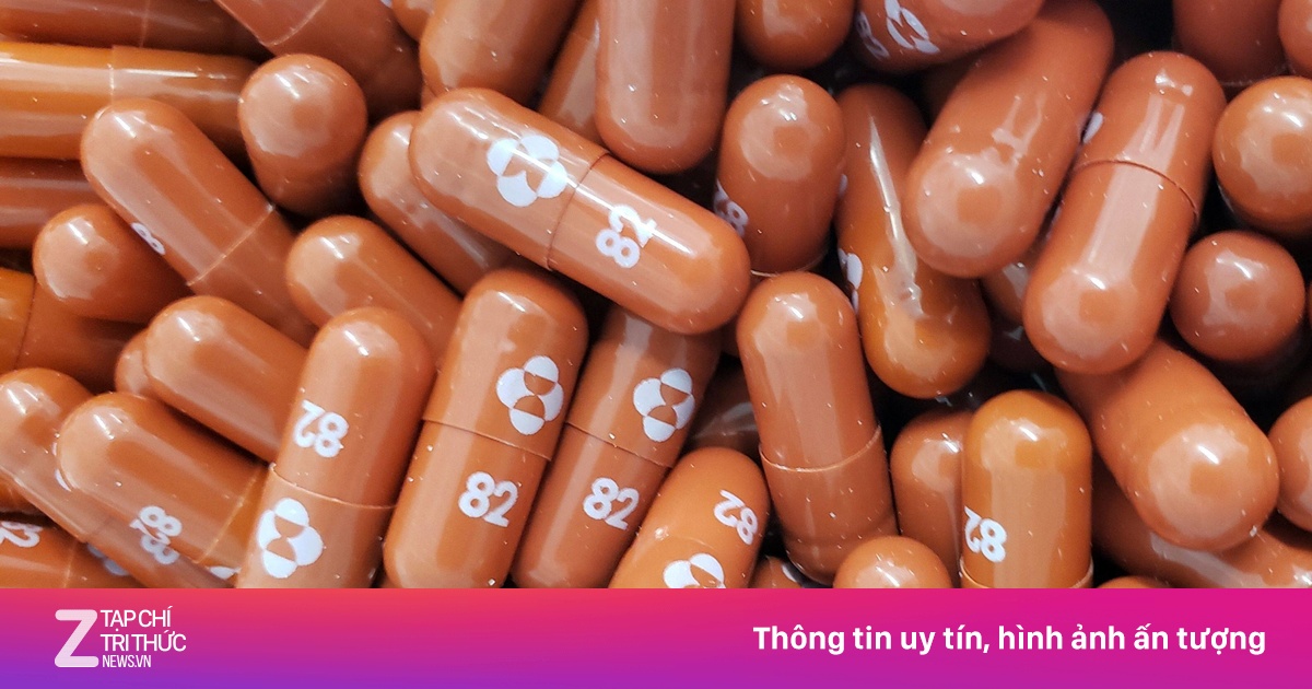 Viên thuốc hứa hẹn làm thay đổi cuộc chiến chống Covid-19 - Phân tích ...