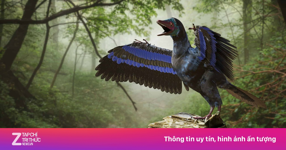 Những con khủng long có lông vũ | Znews.vn