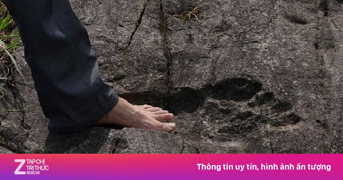 Phát hiện bàn chân người cháy sém ở bãi đất trống Bình Dương - Xã hội ...