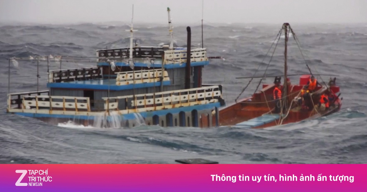 Tàu cá bị đâm chìm ở Bình Định, 2 ngư dân mất tích - Xã hội - ZNEWS.VN