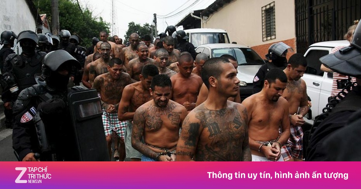 New York trấn áp gần 100 thành viên băng đảng MS-13 khét tiếng - Thế ...