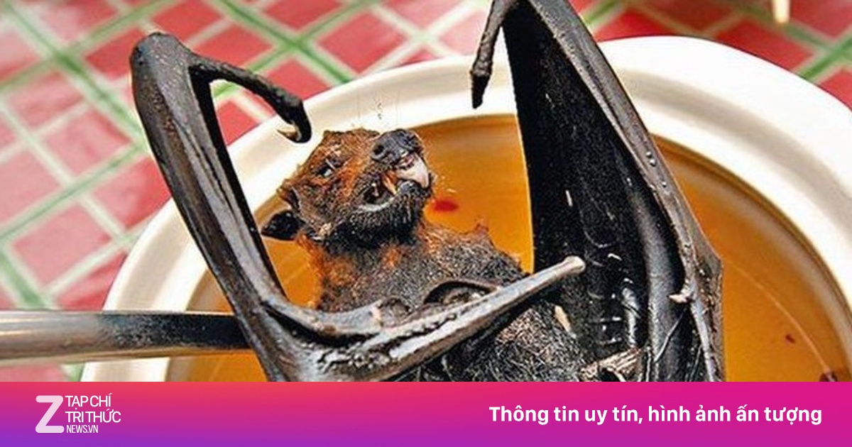Súp dơi - món ăn bị nghi là nguồn gốc phát tán virus corona - Món ngon ...