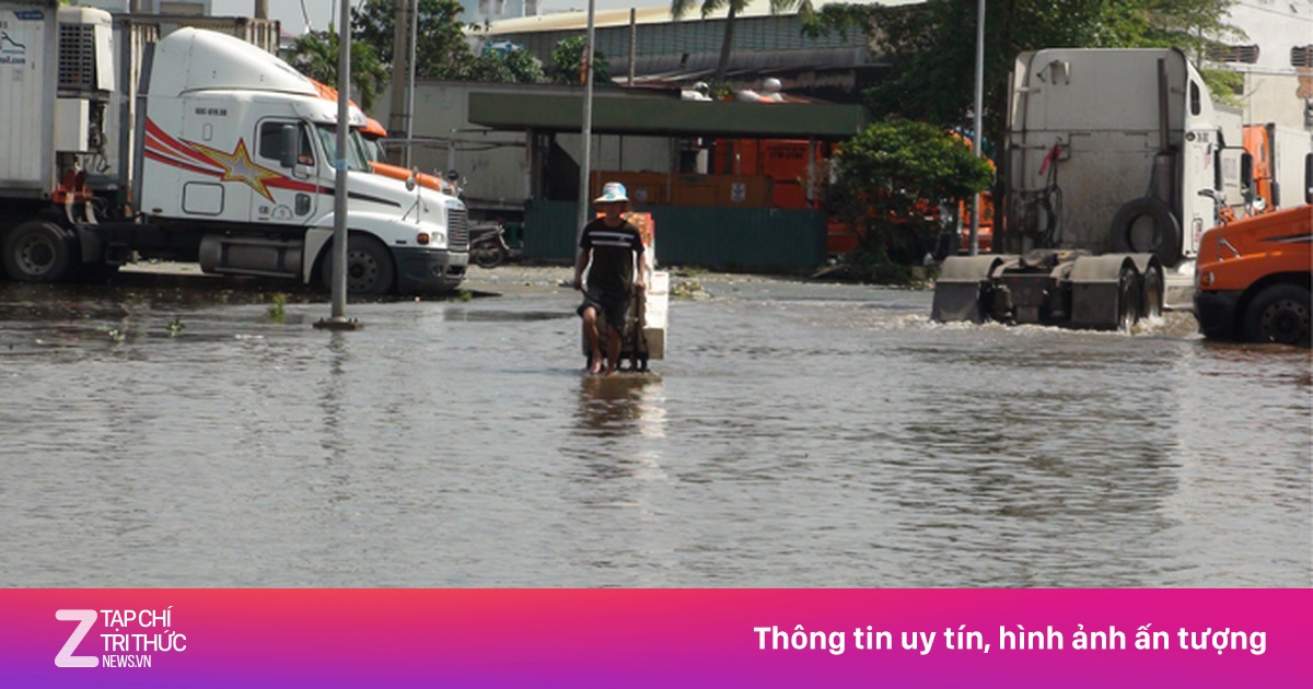 Triều cường tràn bờ bao, hơn 100 nhà dân ngập nước - Xã hội - ZNEWS.VN