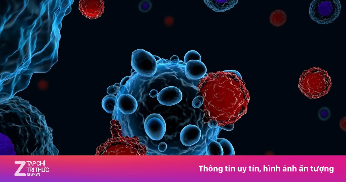 Hệ miễn dịch con người đang chống lại các bệnh tật mới như nào - Thế ...