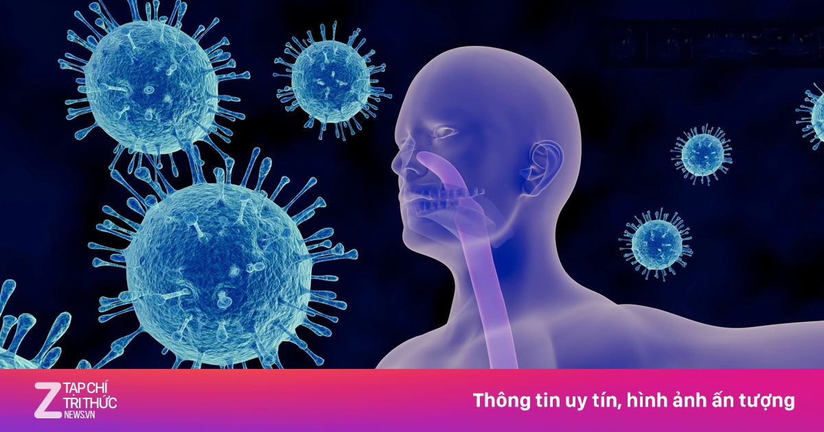 Hệ miễn dịch 500 triệu năm tuổi của con người - Thế giới sách - ZNEWS.VN