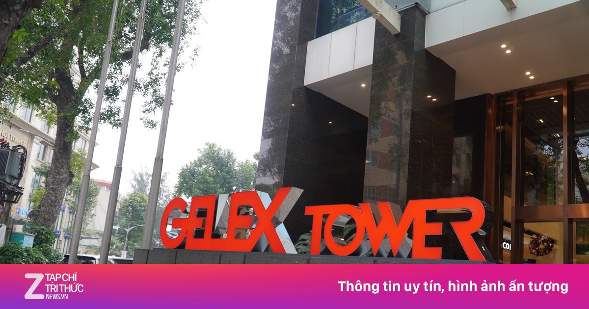 Gelex lãi gần 300 tỷ đồng quý III, rót thêm 2.100 tỷ vào chứng khoán ...