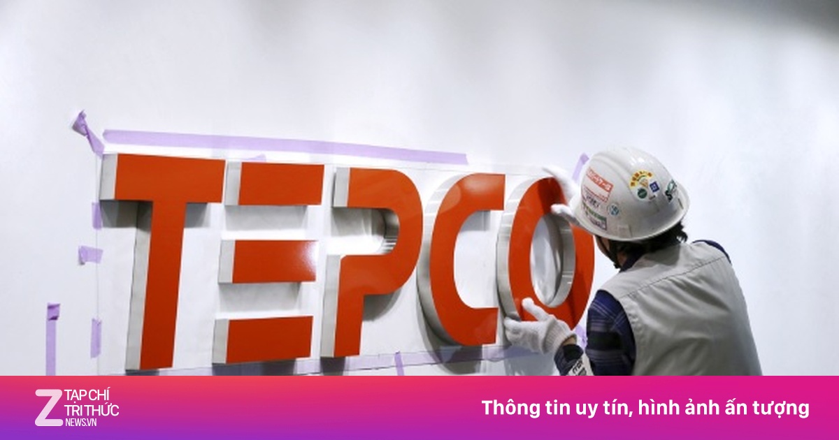 Tepco chi gần 800 tỷ mua cổ phần công ty điện Việt Nam - Tài chính - Chứng khoán - ZNEWS.VN