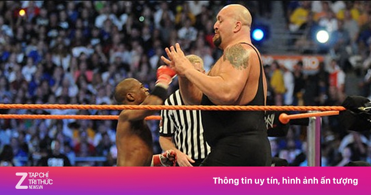 Conor McGregor theo chân Mayweather thượng đài WWE? - Thể thao Thế giới ...