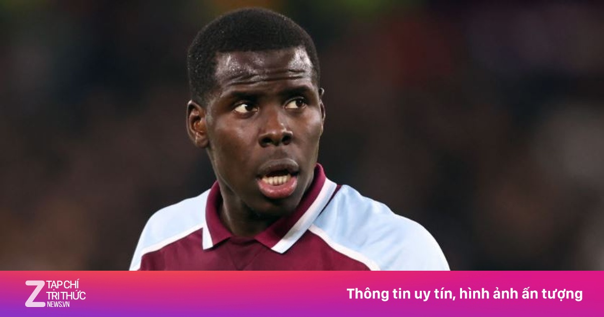 Zouma có thể ngồi tù vì ngược đãi mèo - Bóng đá Anh - ZNEWS.VN