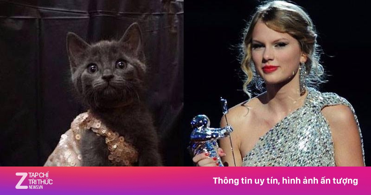 Nữ bác sĩ 'lên đồ' cho mèo giống hệt Taylor Swift | Znews.vn
