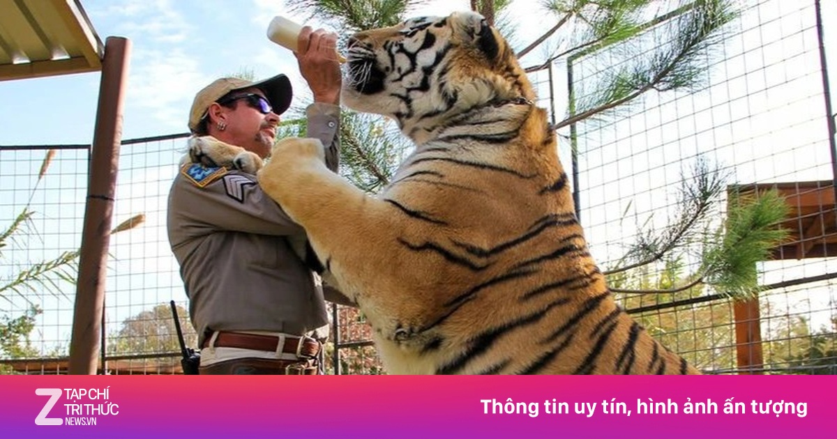 Diễn viên phim ‘Tiger King’ tự sát - Giải trí - ZNEWS.VN