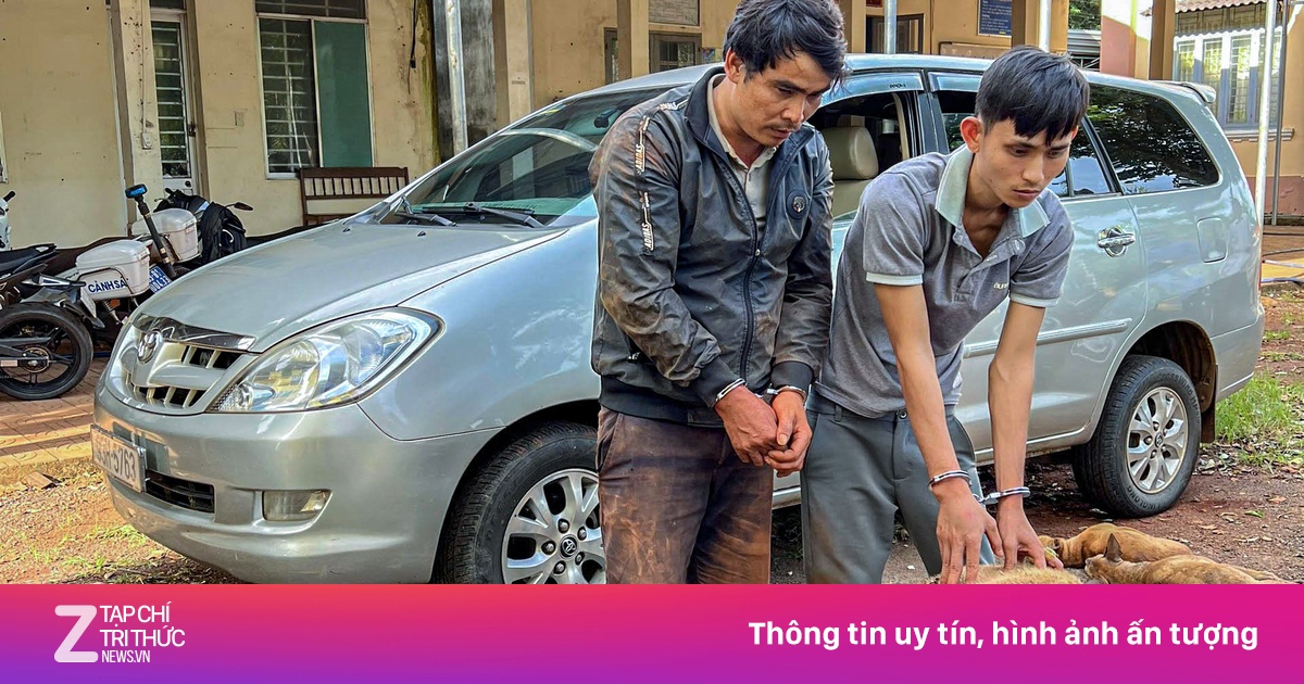 Truy đuổi hơn 10 km bắt nhóm chuyên dùng ôtô trộm chó - Pháp luật ...
