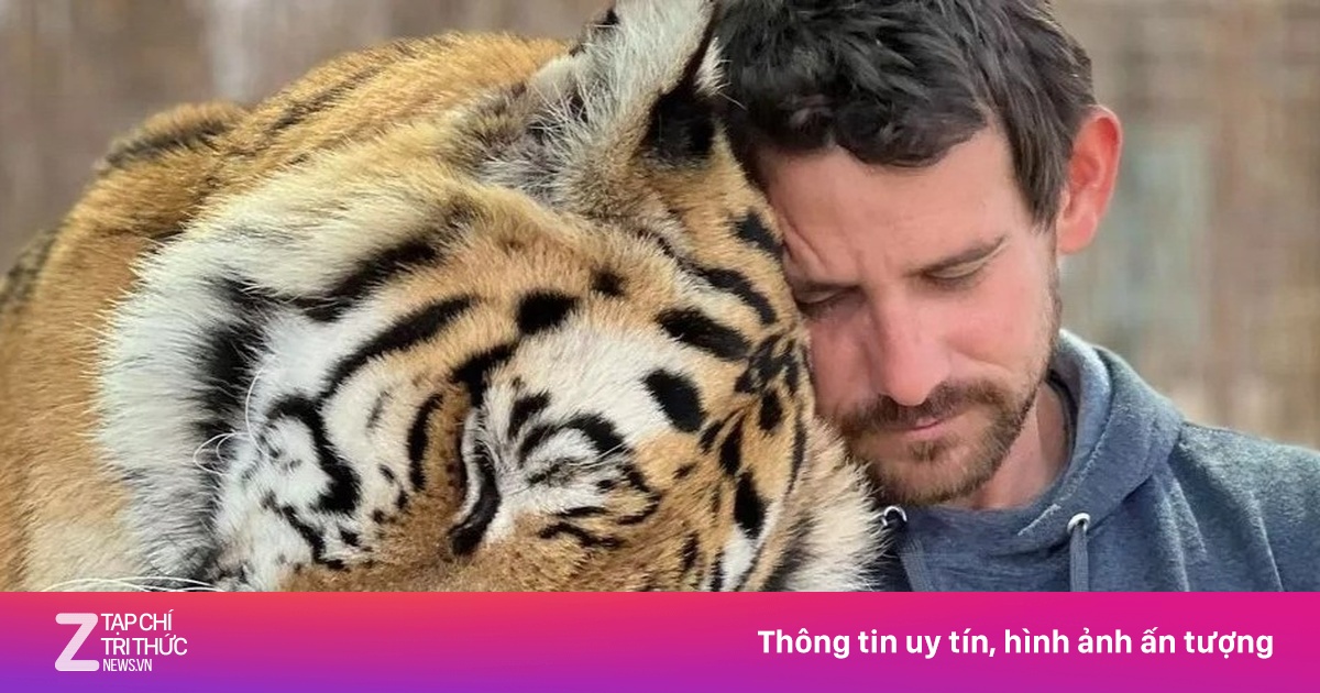 Cộng sự của 'Vua hổ' bị hổ tấn công đến chết | Znews.vn