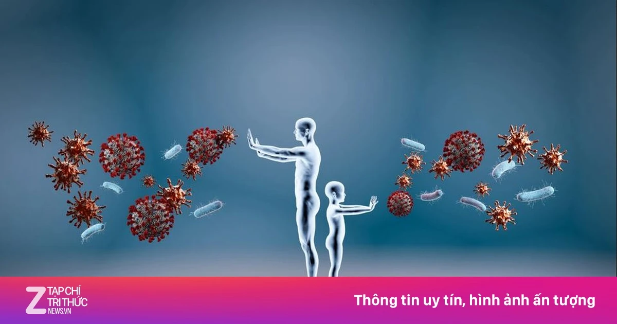 'Vệ sĩ' vô hình của con người | Znews.vn