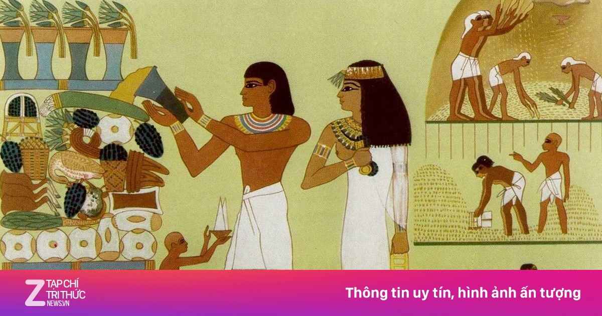 Lịch sử của vải vóc | Znews.vn