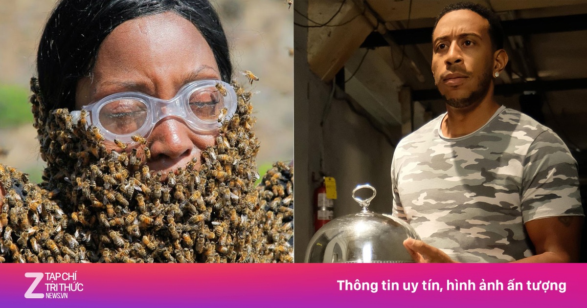 Những game show đáng sợ nhất thế giới - Game Show - ZNEWS.VN