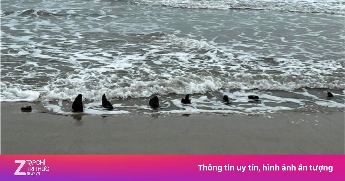 Xác tàu 'lộ thiên' ở bờ biển Quảng Nam: Có thể là ghe bầu bị chìm - Xã ...