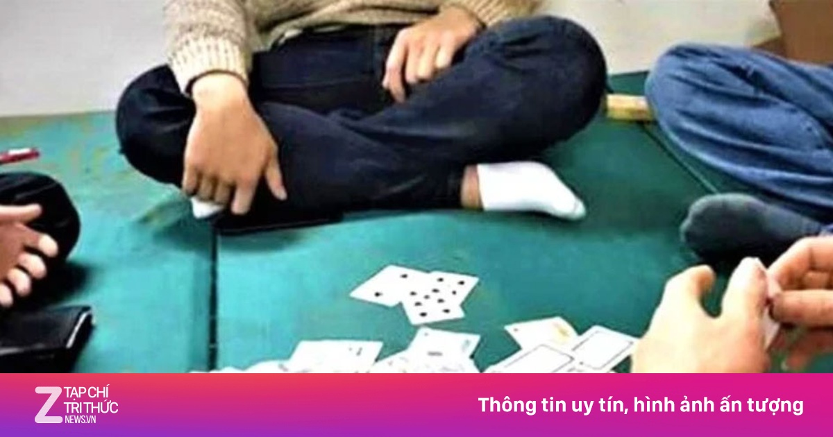 Ngồi Xem đánh Bạc Có Bị Xử Lý Pháp Luật Znews Vn