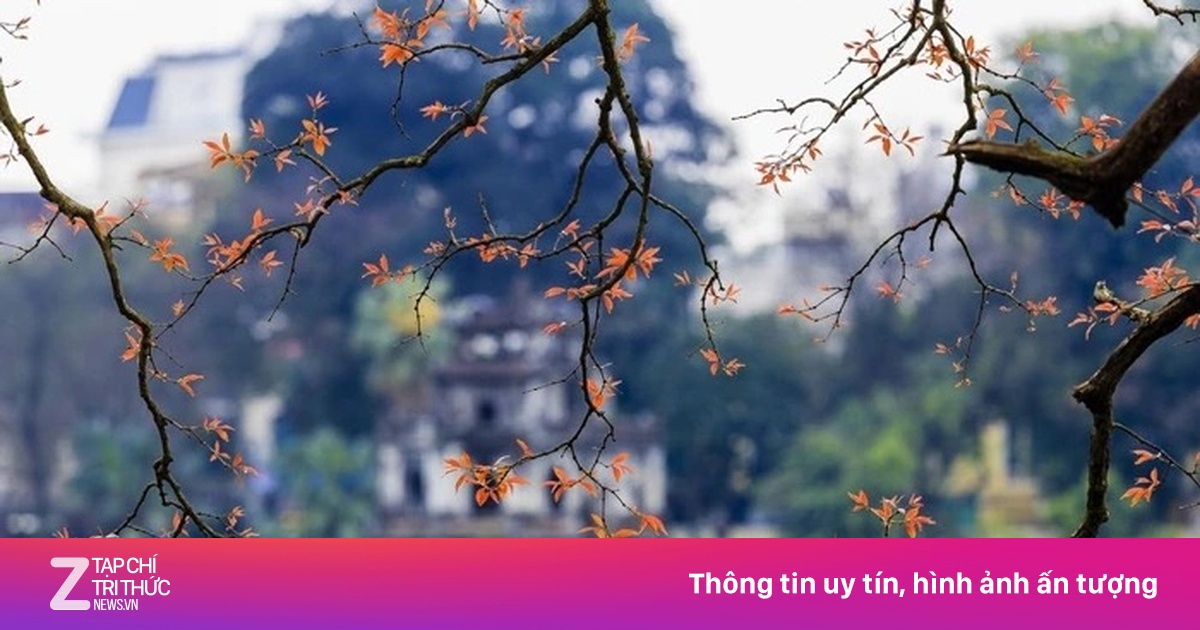Thời tiết ngày 1/1: Đầu năm mới, Bắc Bộ trời rét, trưa chiều trời nắng ...