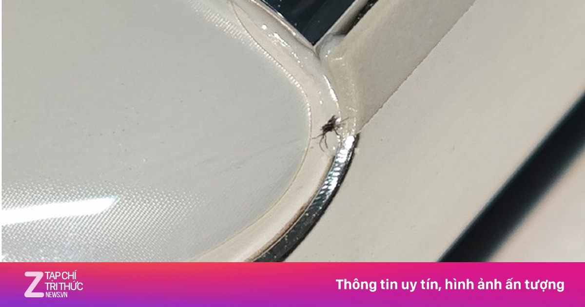 Tìm thấy xác côn trùng trong điện thoại - Mobile - ZNEWS.VN
